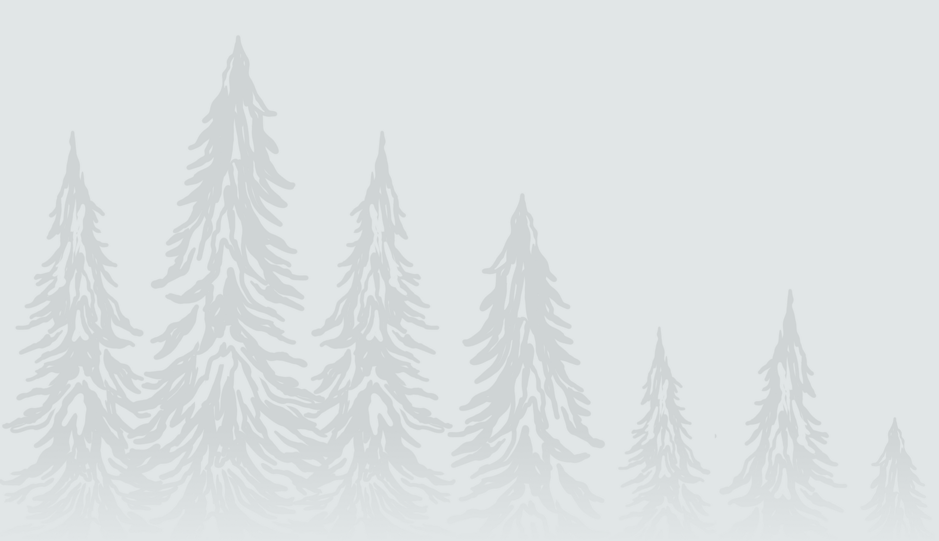 Spruce Sap Gum Benefits and How to Source It by the Pound